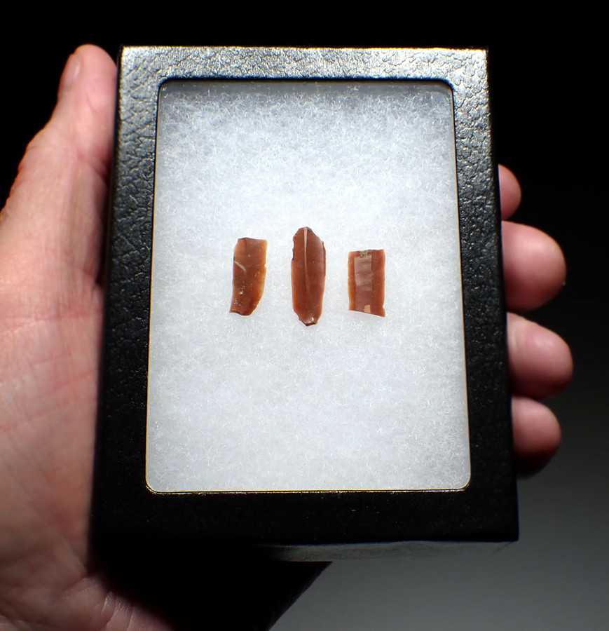 THREE SUPERB EUROPEAN MESOLITHIC MICROBLADES OF RADIOLARITE FROM ...