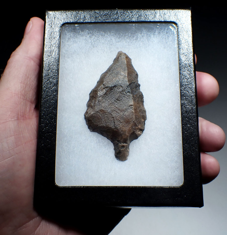 CHOICE MIDDLE STONE AGE ATERIAN TANGED POINT IN PETRIFIED WOOD - OLDEST ...