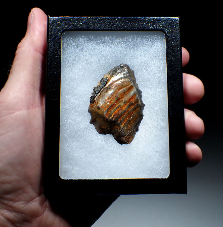 SUPREME OFFSET ATERIAN TANGED POINT OF RARE PETRIFIED WOOD - OLDEST ...