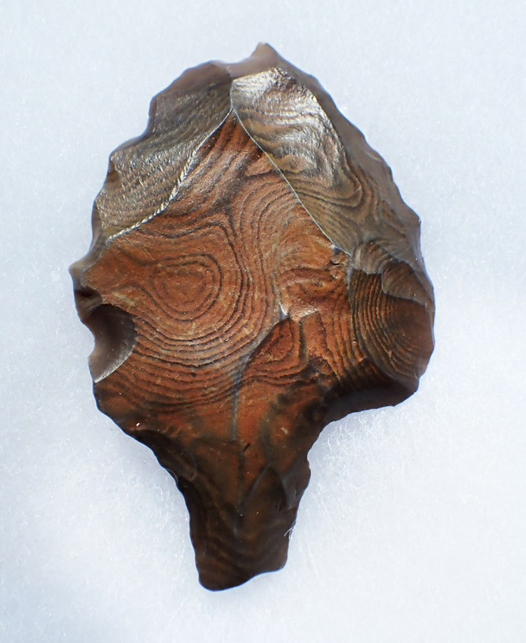 BEST OF THE COLLECTION - ATERIAN TANGED POINT OF RARE PETRIFIED WOOD ...