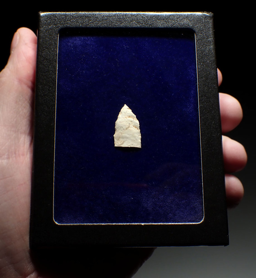 CRO-MAGNON FLINT MICROLITH FLAKE BLADE TOOL FROM FAMOUS PREHISTORIC ART ...
