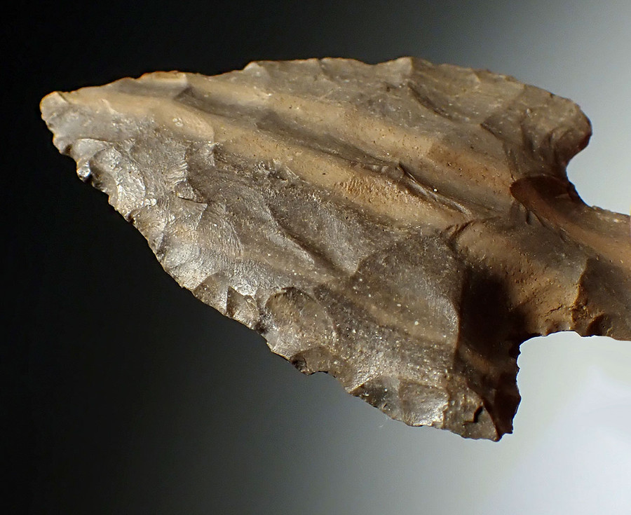 LARGE MAYAN ATLATL ARROWHEAD IN UNUSUAL BANDED CHERT *PC574 - TIME VAULT GALLERY