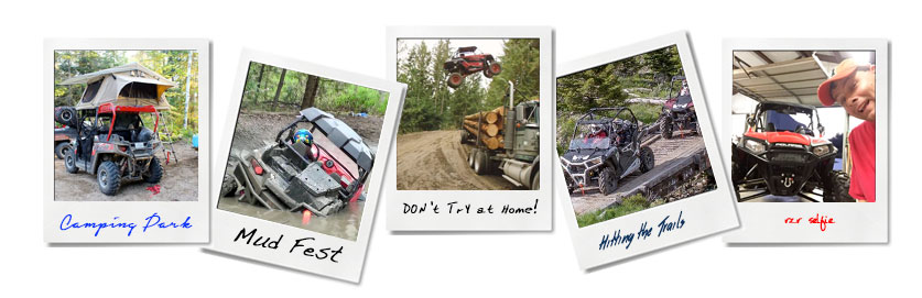 About Everything Polaris RZR