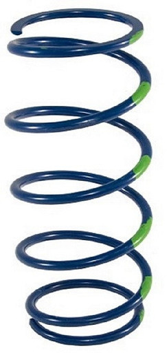 Polaris RZR Driven Springs by Starting Line Products - DRIVEN-SPRING ...