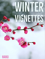 Winter Haiku Poems - WAWAZA