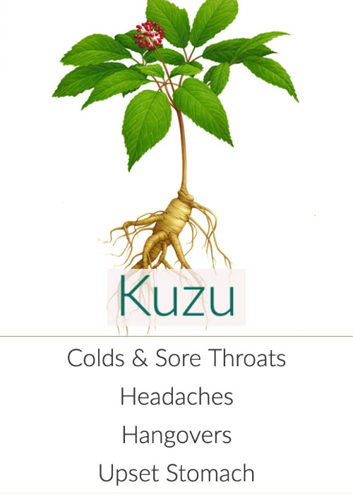 An Overview of Japanese Herbal Teas for Health and Beauty