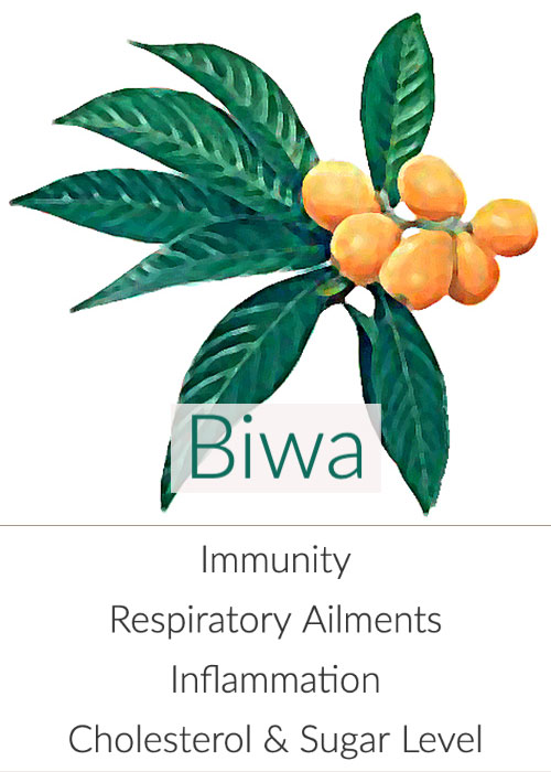 An Overview of Japanese Herbal Teas for Health and Beauty