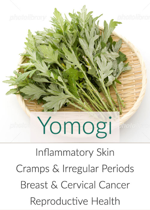 An Overview of Japanese Herbal Teas for Health and Beauty