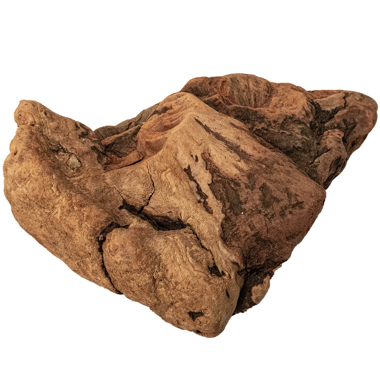 Manzanita Root Burl Large