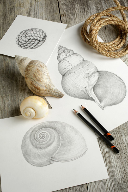 Mug: Moon Shell - Laura Zindel Design