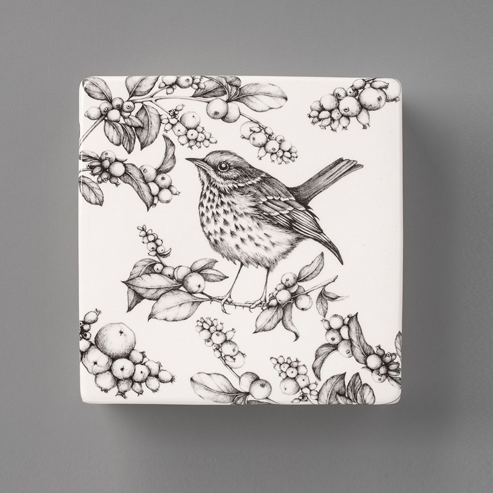 Wall Box: Hermit Thrush - Laura Zindel Design