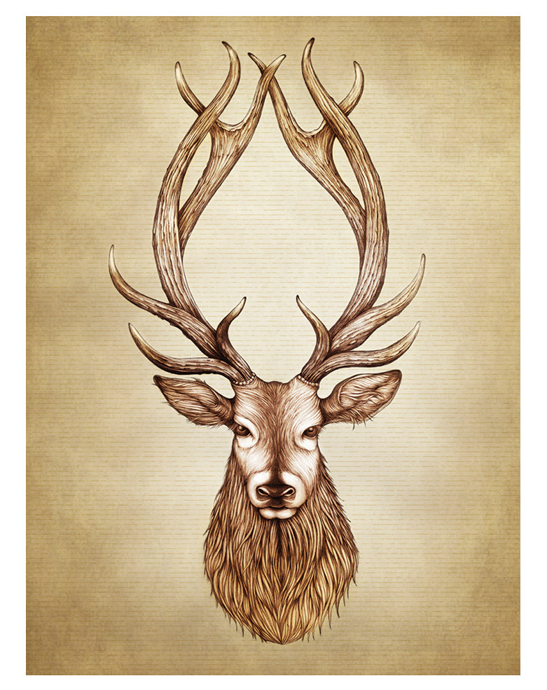 Note Cards: Deer - Laura Zindel Design