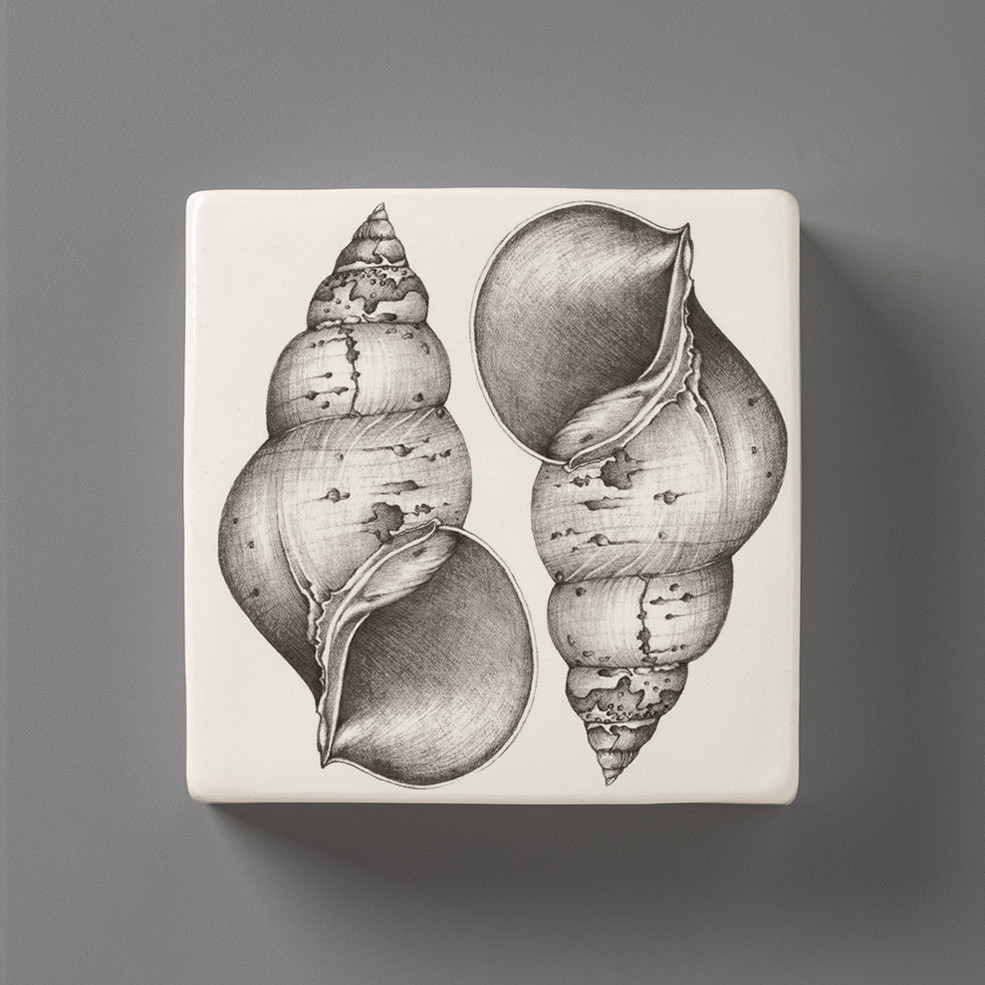 Wall Box: Snail Shell - Laura Zindel Design