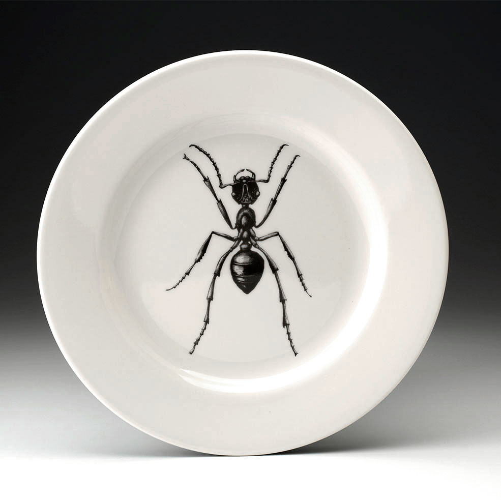 Dinner Plate: Ant - Laura Zindel Design