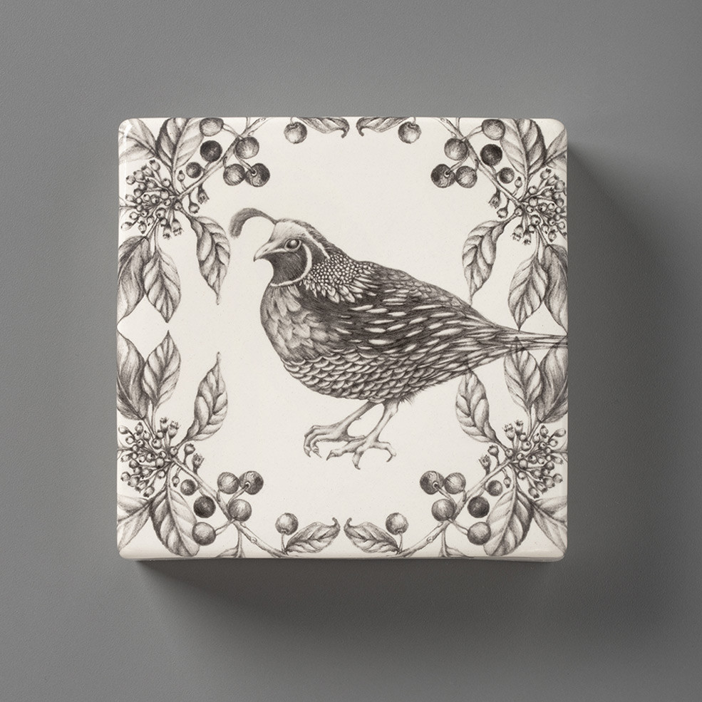 Note Cards: Quail - Laura Zindel Design