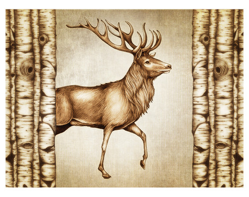 Note Cards: Deer - Laura Zindel Design