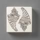 Wall Box: Neptune Shell - Laura Zindel Design