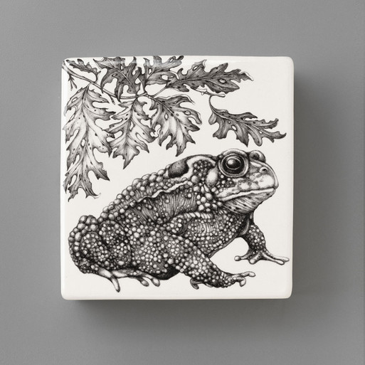 Wall Box: Toad - Laura Zindel Design