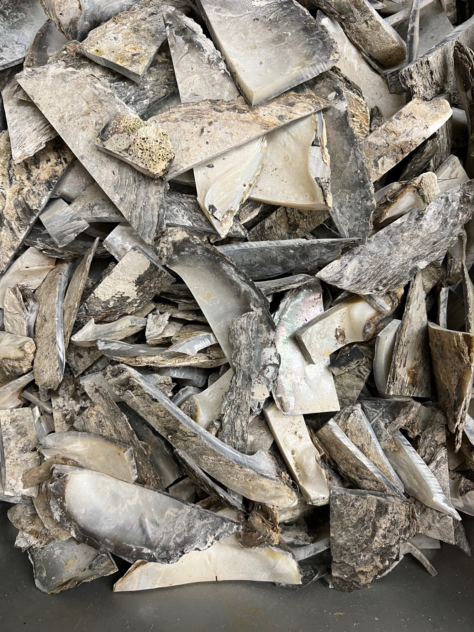 Exotics - Whole Shell & Scrap - Knifehandles.com