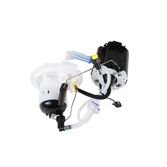 Petrol Fuel Pump And Sender Unit for Freelander 2 | JGS4x4