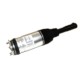 Macpherson Strut - LR087083 | BWI | JGS4x4