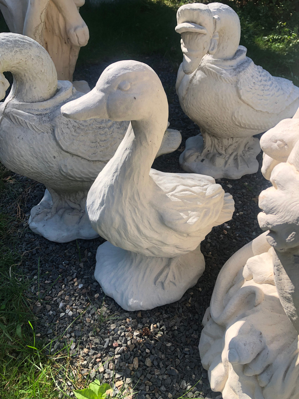 Lg. Duck