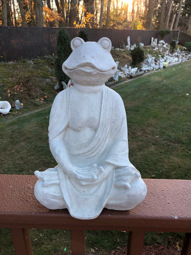 Lg. Zen Frog