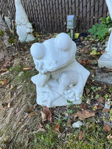 Lg Tree Frog