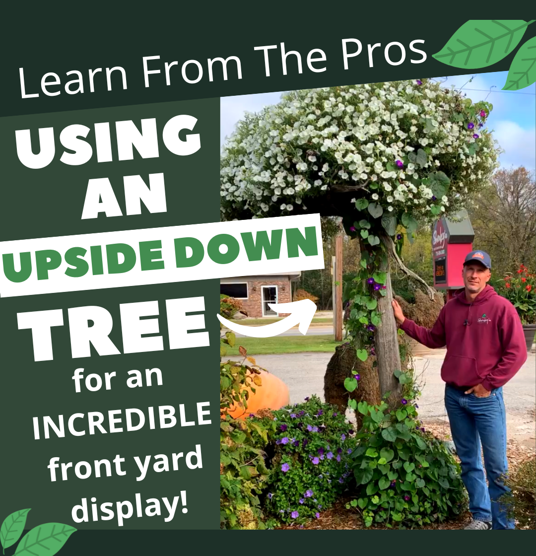 Making an Incredible Front Yard Display - Using an Upside Down Tree ...