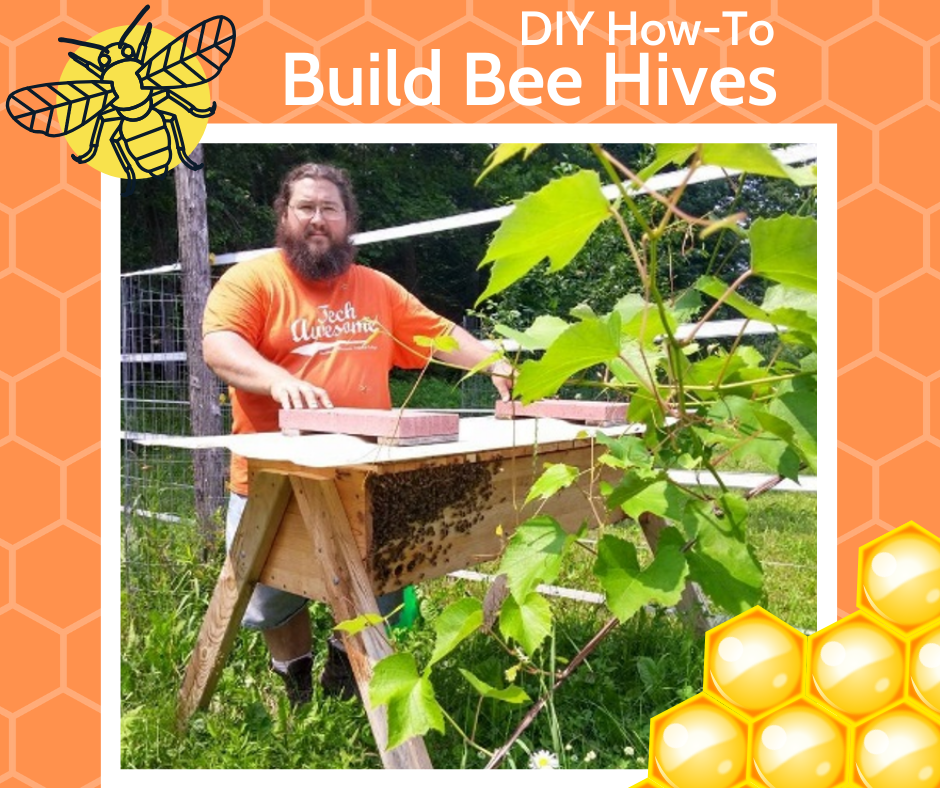 Building the Basic Bee Hive - Beat Your Neighbor