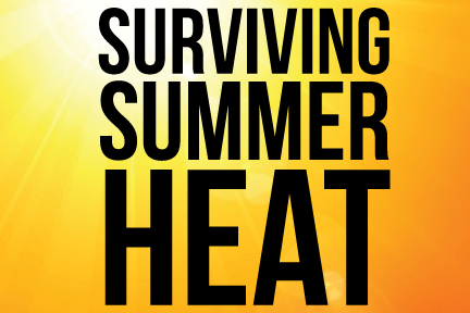 Plant Tips for Surviving the Summer Heat - Beat Your Neighbor