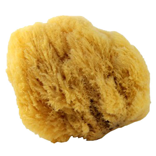 Cleansing, Ultra-Gentle Household Sea Sponge - Jade and Pearl