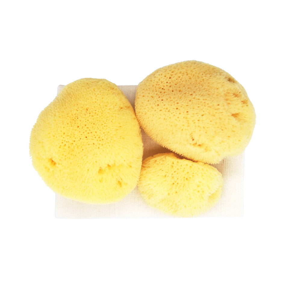 Sea Pearls- Reusable Sea Sponges - Jade and Pearl, Inc.
