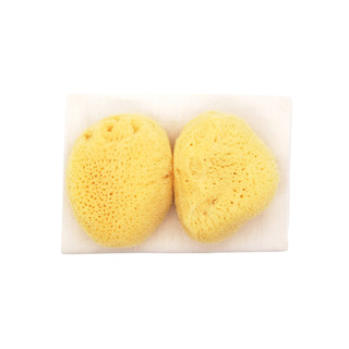 Sea Pearls- Reusable Sea Sponges - Jade and Pearl, Inc.