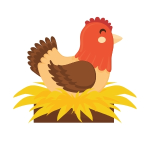 Broody Chicken - What to do - Dine a Chook UK