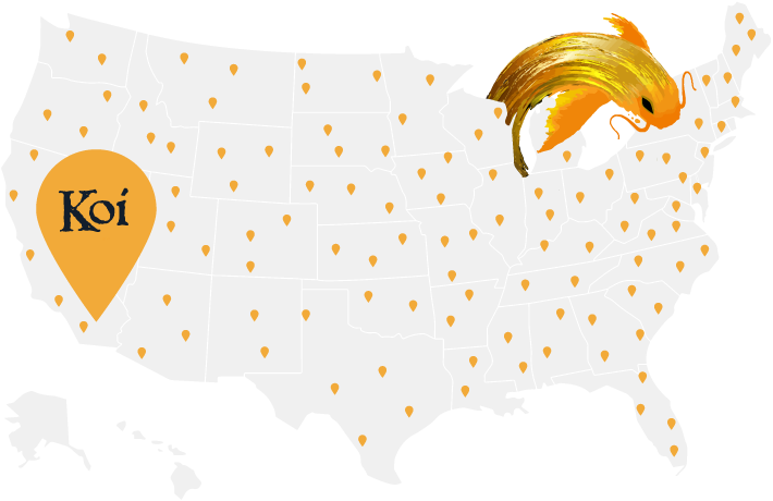 Discover Koi