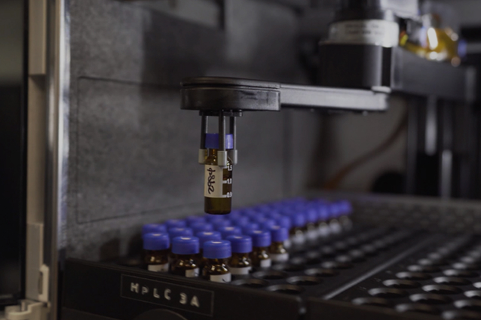 Certified High Quality Hemp - Discover Koi