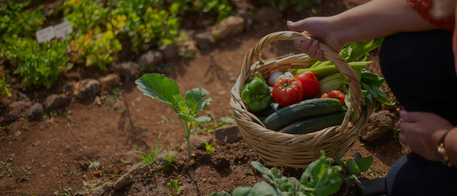 Garden Works