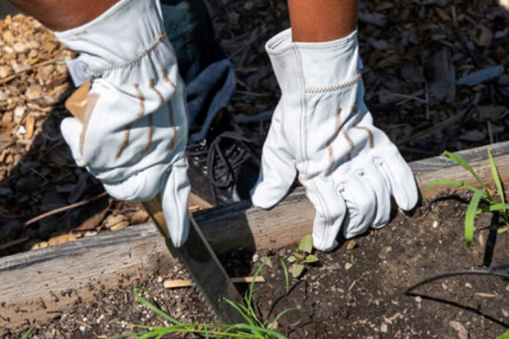 Caring for Your High-Quality Garden Tools: A Comprehensive Guide ...