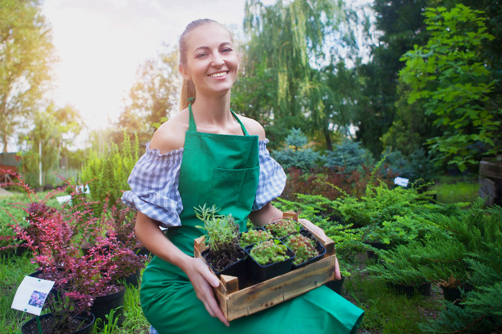 How to Make Your Garden Center Instagrammable: Tips for Creating a ...