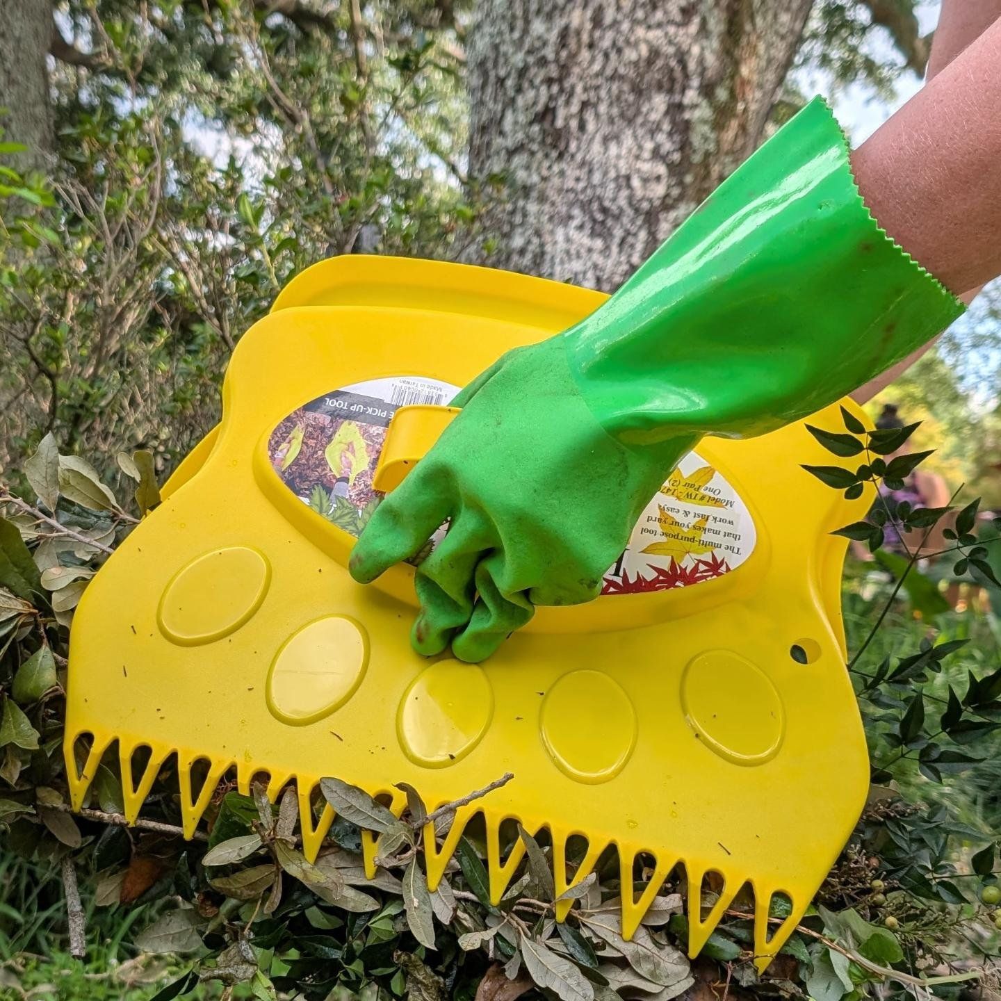 The Essential Guide to Cleaning Up Your Yard After a Hurricane: Tools ...