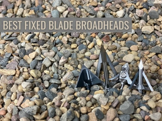 Best Fixed-Blade Broadheads - Archery Country