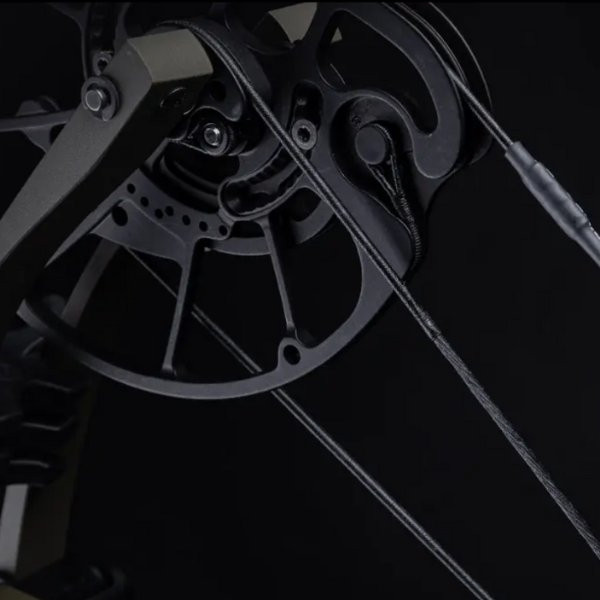 Hoyt VTM 34 - Archery Country