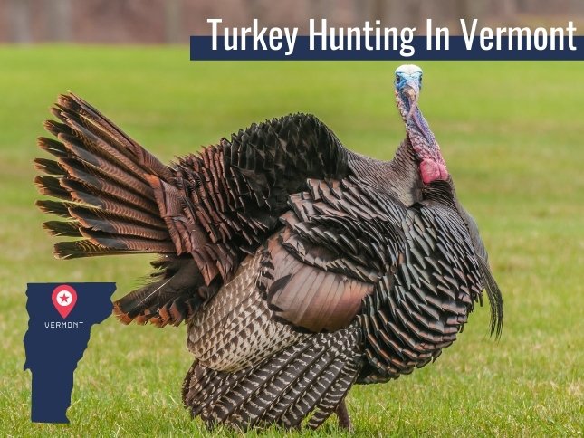 Vermont Turkey Season and Regulations 2022 - Archery Country
