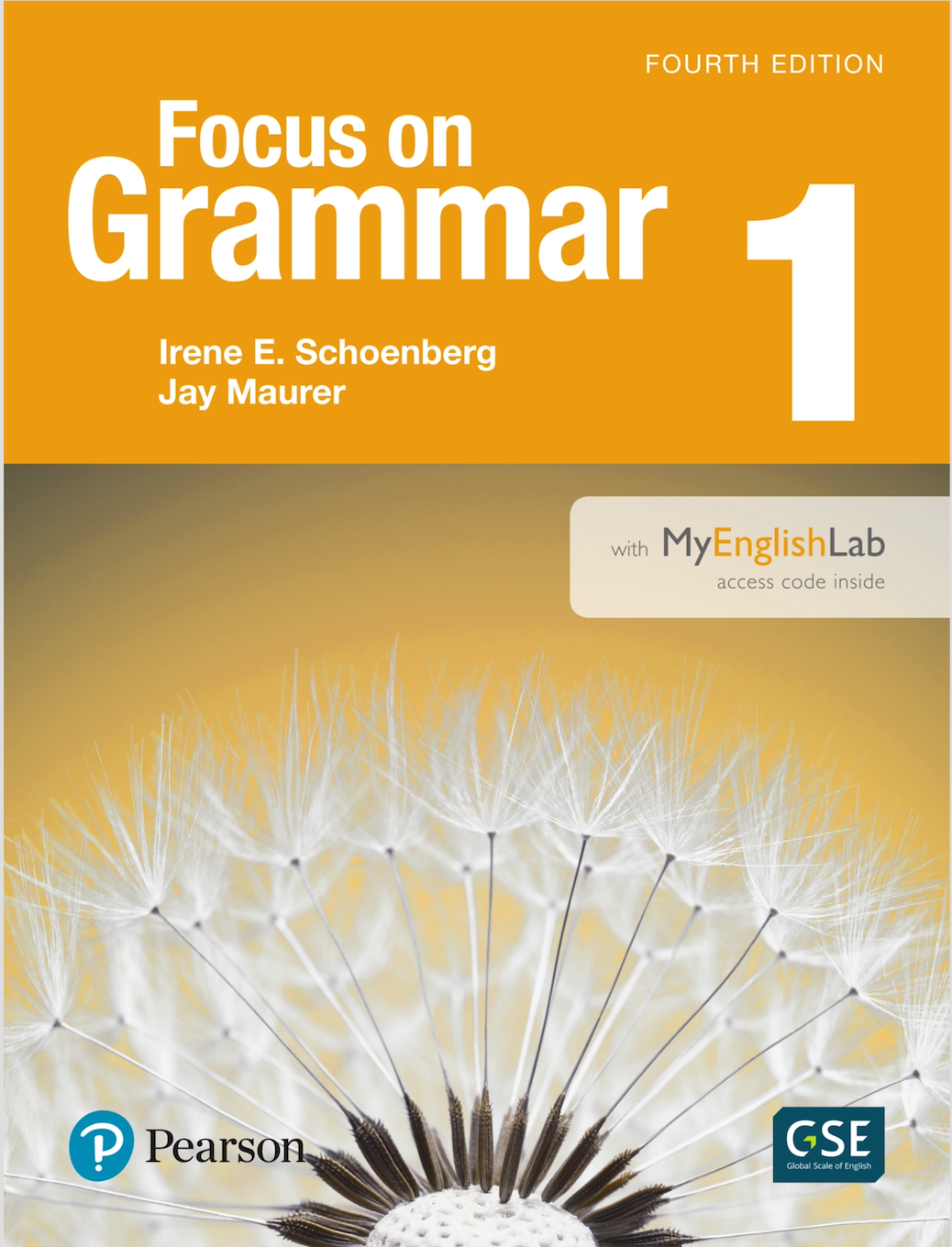 Focus on Grammar 1