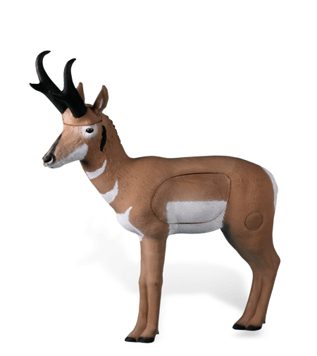 Pronghorn Antelope | 209 - Rinehart Targets