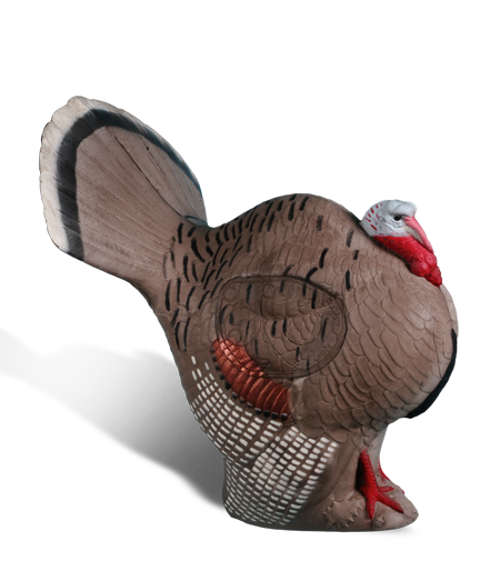 Strutting Turkey | 413 - Rinehart Targets