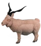 Catalina Goat - Rinehart Targets