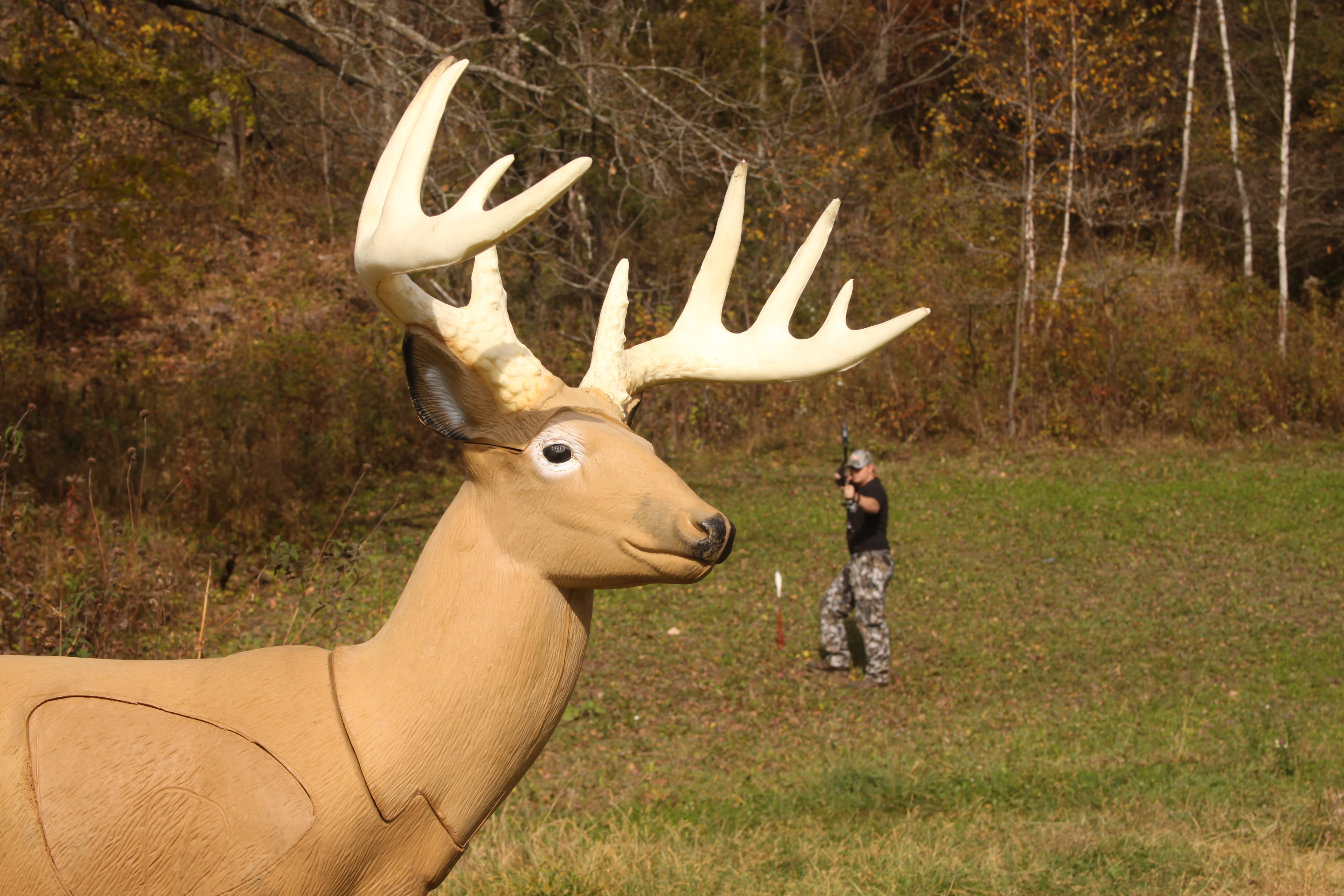 Sharpen Your Aim: How 3D Archery Targets Improve Real-World Hunting ...