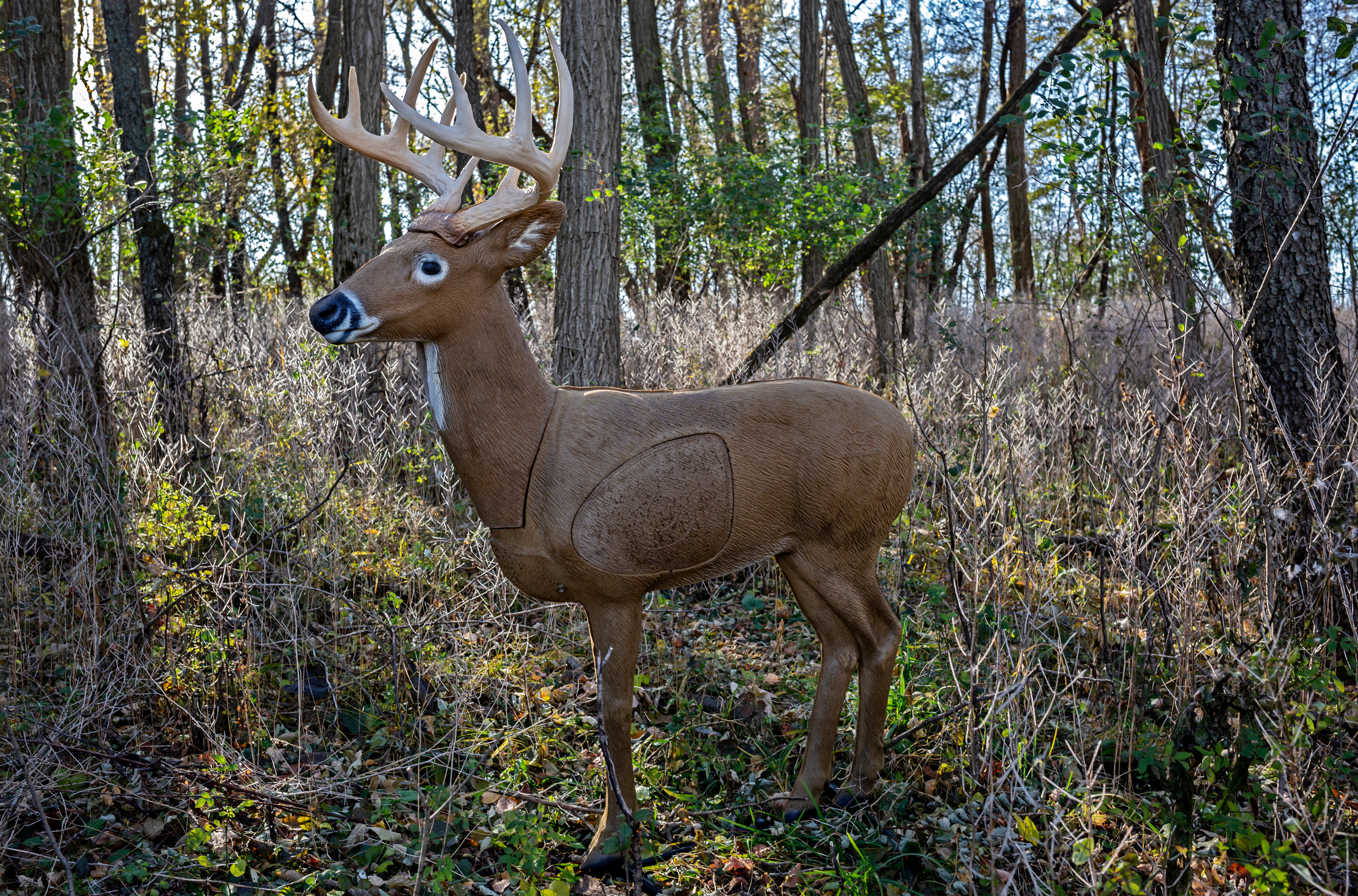 Backyard Bow Range: Setting Up the Ultimate 3D Target Course - Rinehart ...